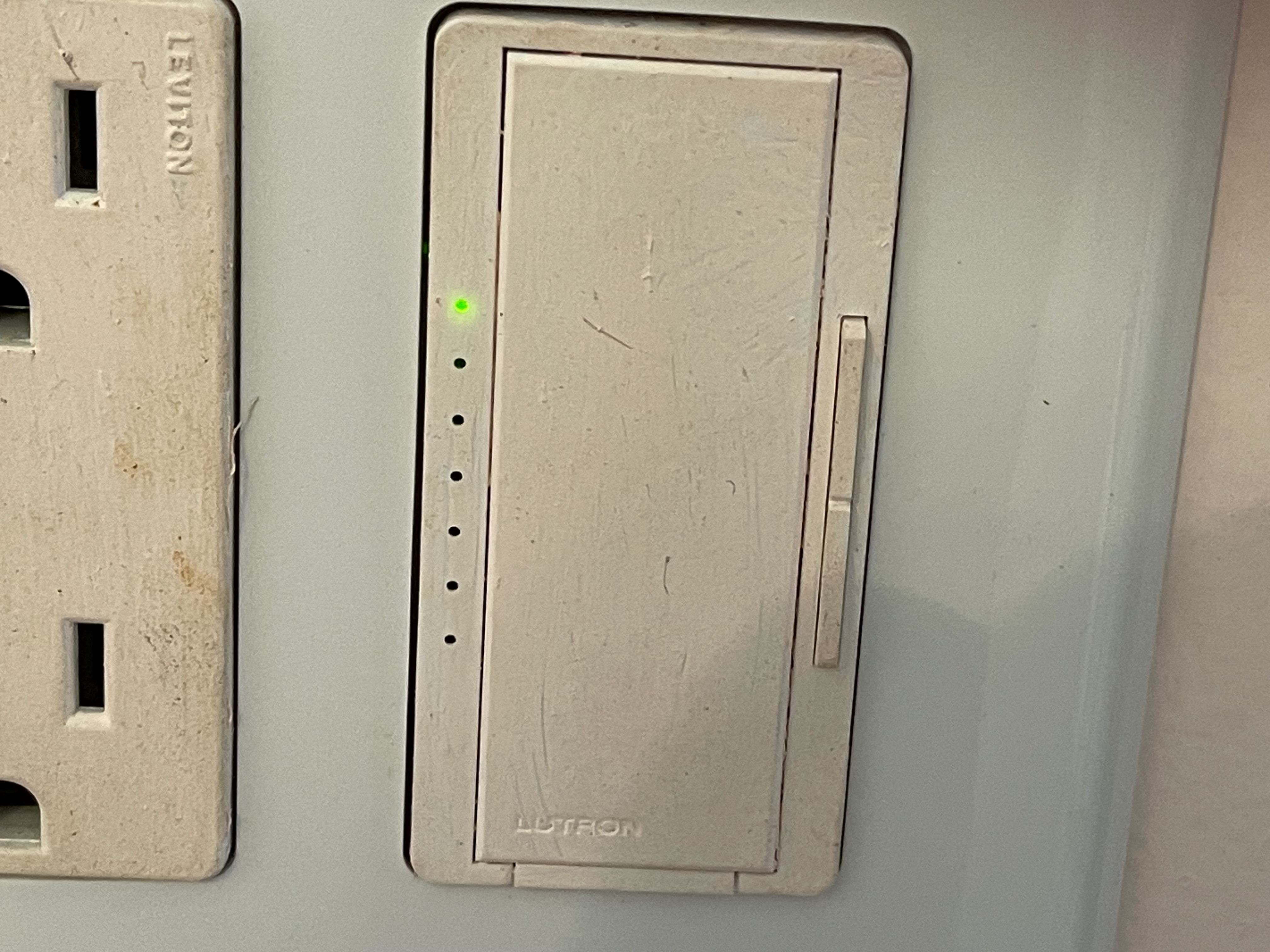 img 0462 – Scottie's Playtime