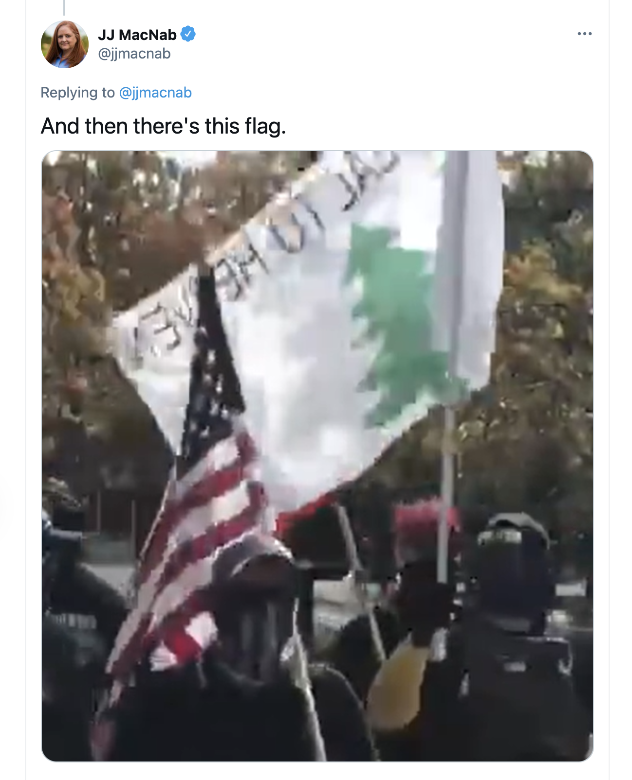 The Pine Tree flag: How one symbol at the Capitol riot connects far ...